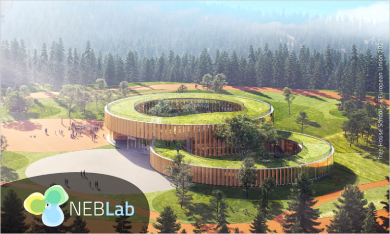 Neb Lab, un laboratorio para adoptar proyectos inspirados en la Nueva ...