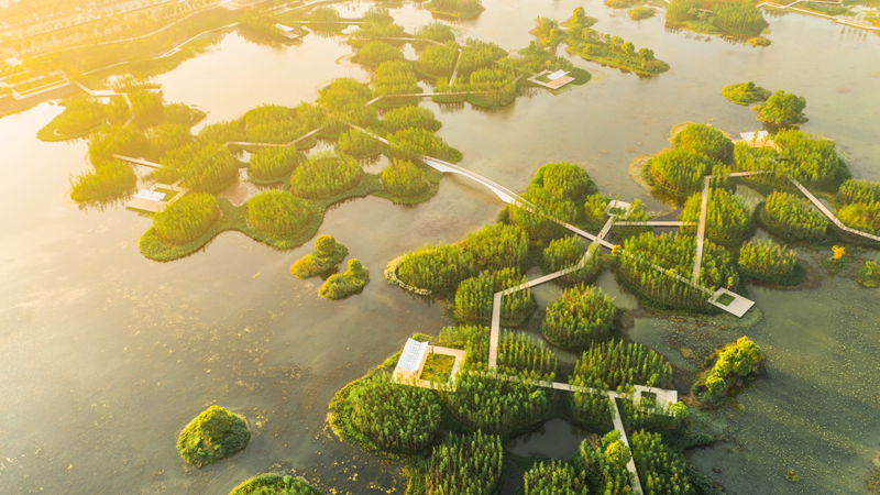 Parque-Nanchang-ciudad-esponja • CONSTRUIBLE